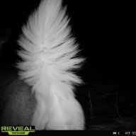 Useful hunting related 3D printer files | saddlehunter.com